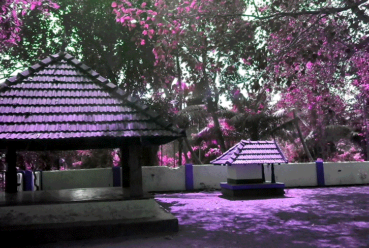 About Temple – Mathoorkalari